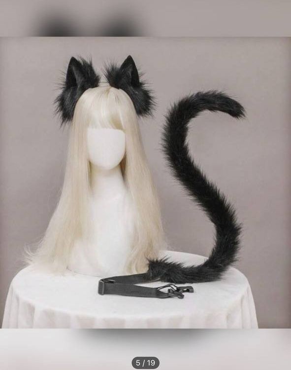 kitten · Lulu_cherrish